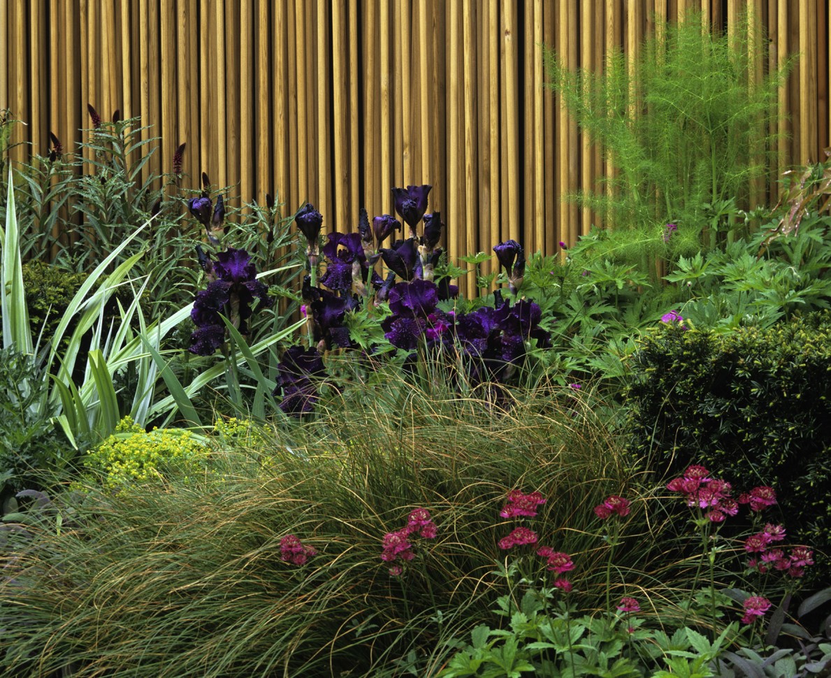 rhs chelsea flower show 2006 | Andy Sturgeon Garden Design