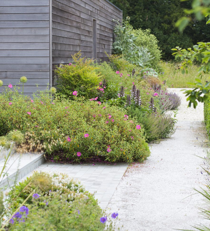 Garden Designer Sussex| Andy Sturgeon Garden Design