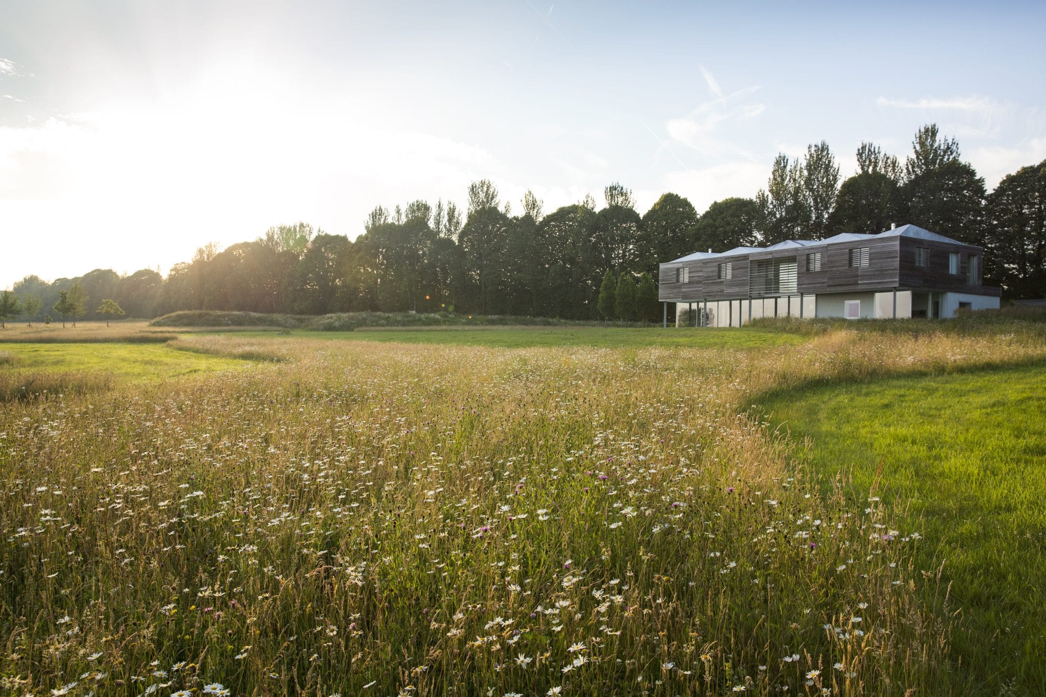 Andy Sturgeon | Leading Garden Designer & Landscape Architect