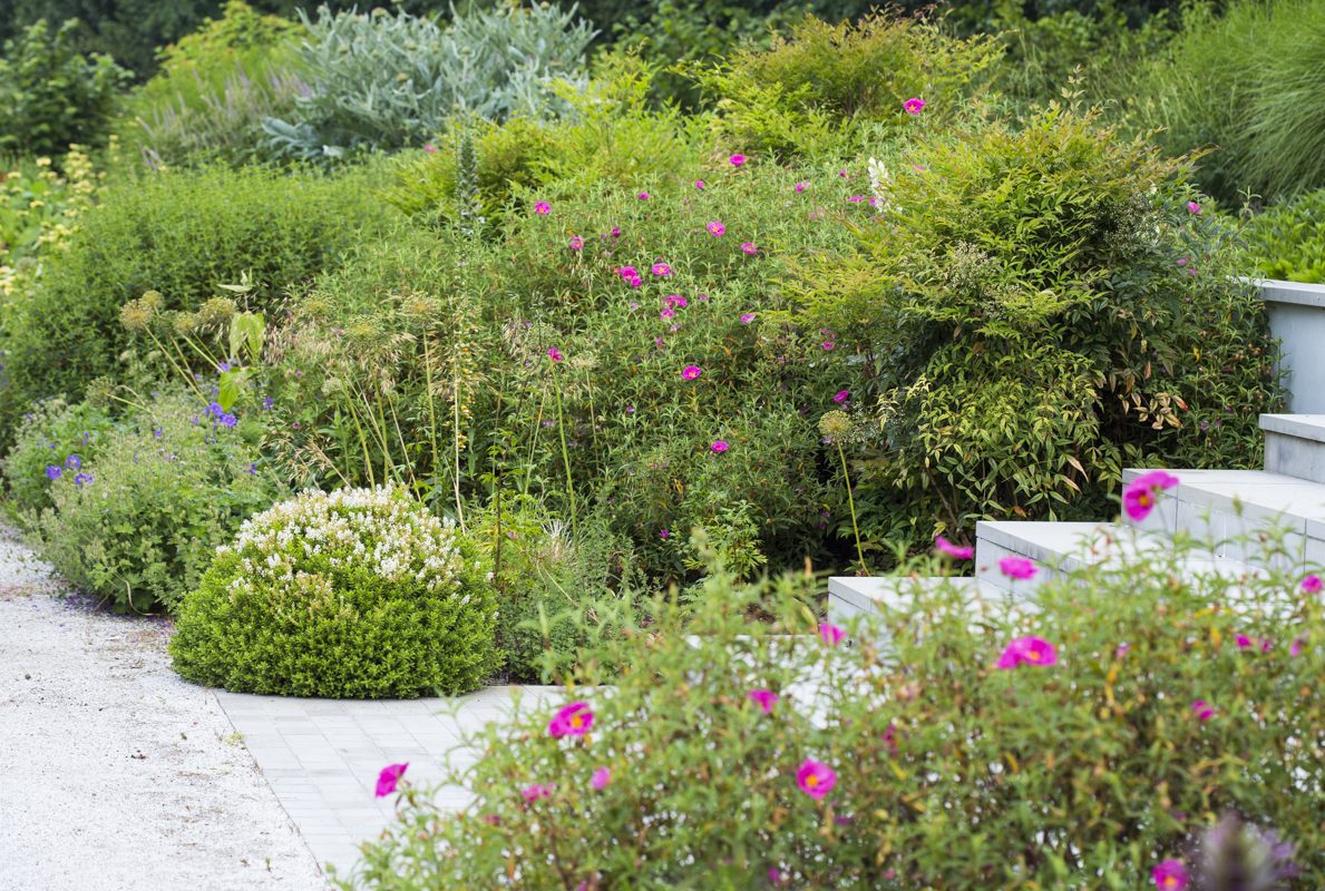 Garden Designer Sussex| Andy Sturgeon Garden Design