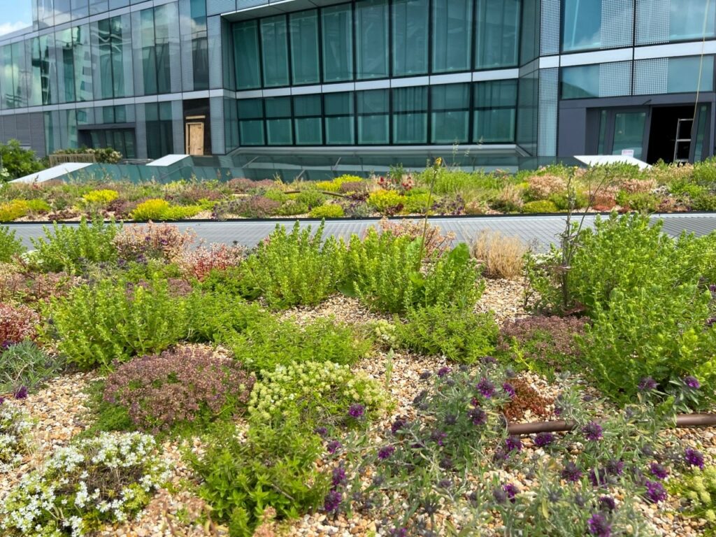 Gravel Gardens looking good at 21 Moorfields | Andy Sturgeon Design