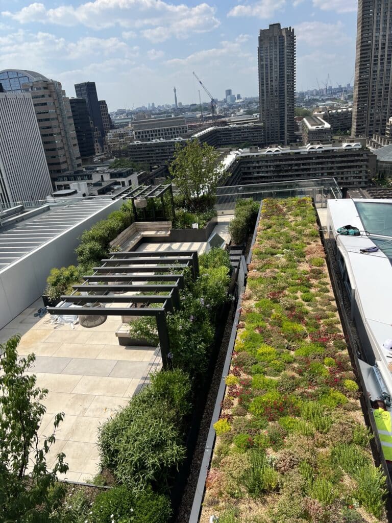 Gravel Gardens looking good at 21 Moorfields | Andy Sturgeon Design