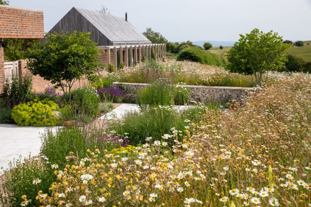 Modern & Contemporary Garden Designer | Andy Sturgeon Garden Design